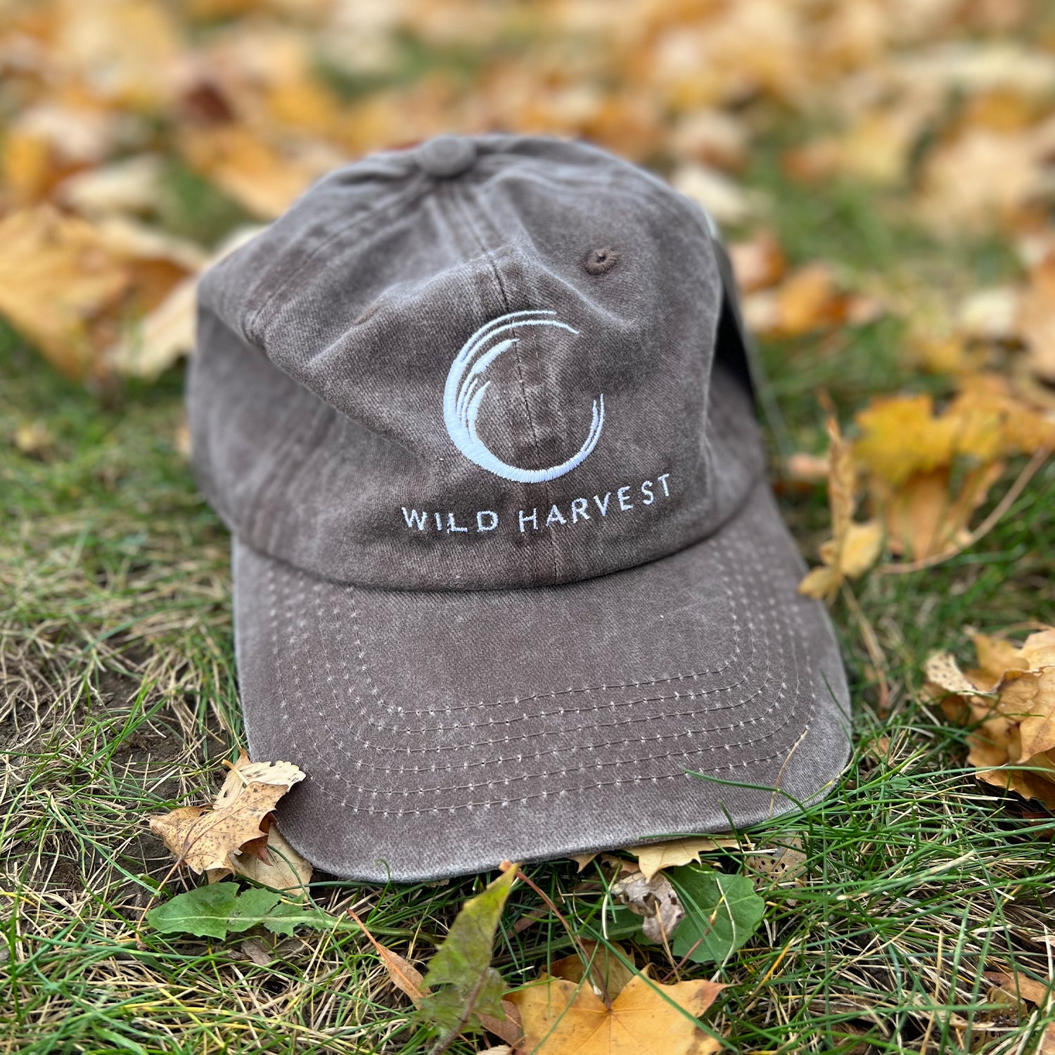 Les Stroud's Wild Harvest - Dad Hat - Brown – KT8 Merch Co